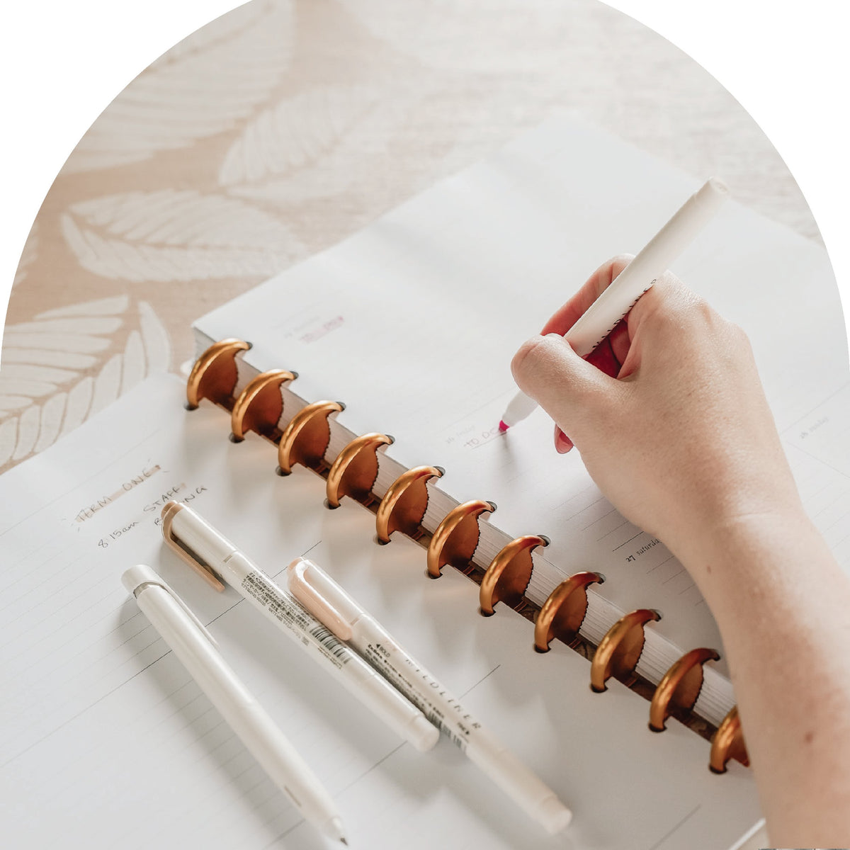 Customizable Disc Planners – The Functional Teacher