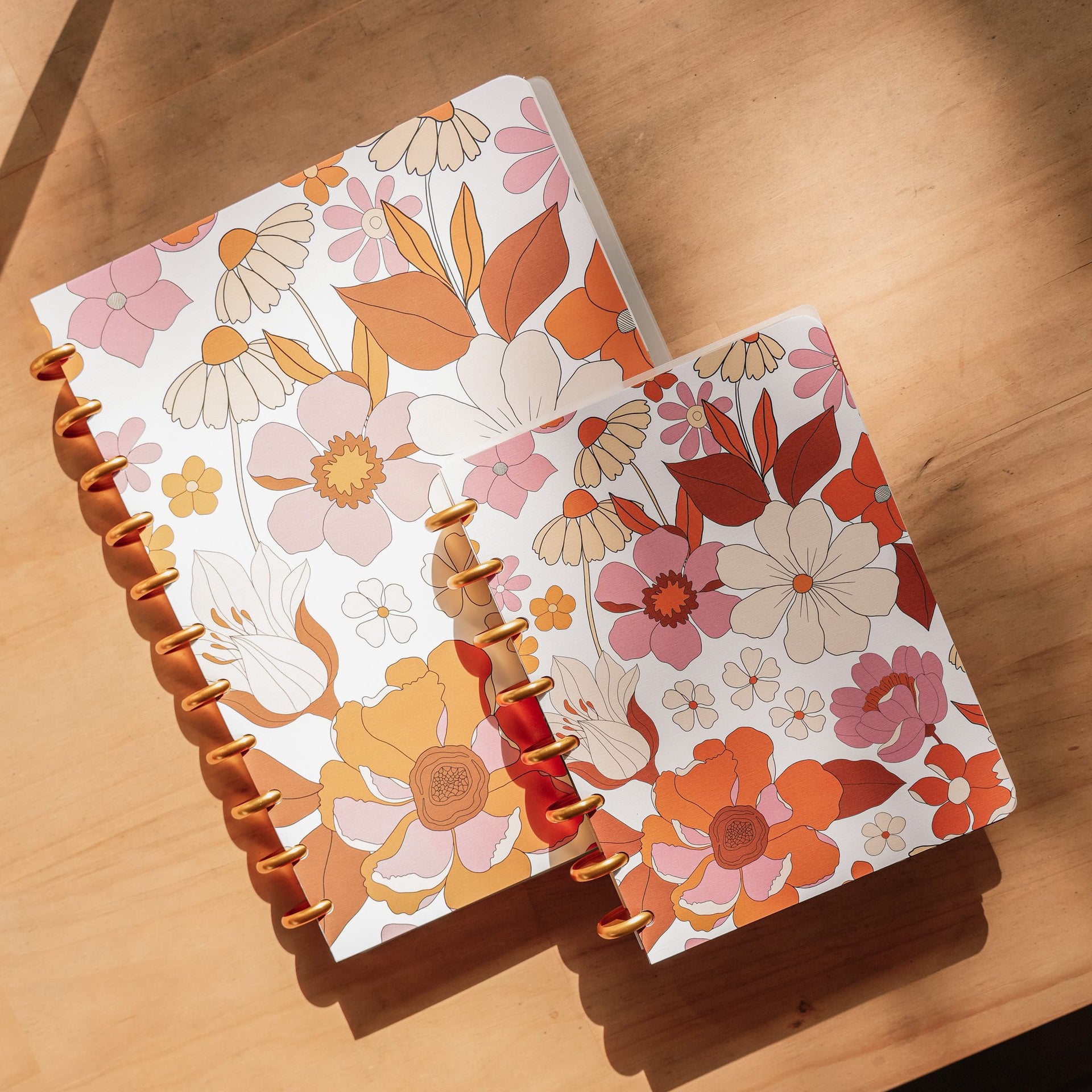 Disc Covers – The Functional Teacher