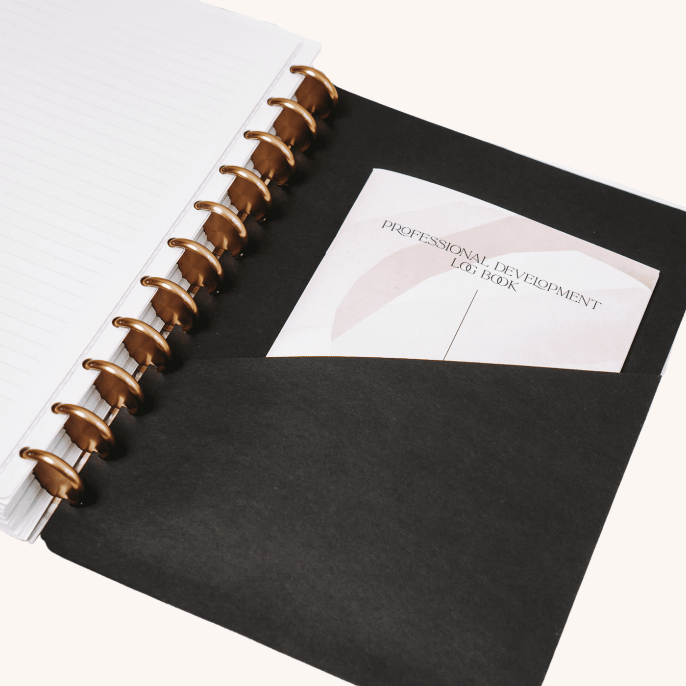 Cardboard Pocket | Disc – The Functional Teacher